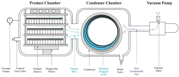 Understanding Freeze Drying: Benefits and Costs