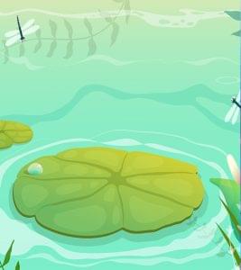 Candy Frost - Unique Freeze Dried Candy Experience