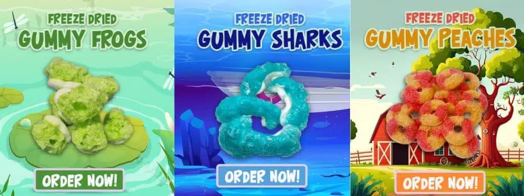 Candy Frost - Unique Freeze Dried Candy Experience